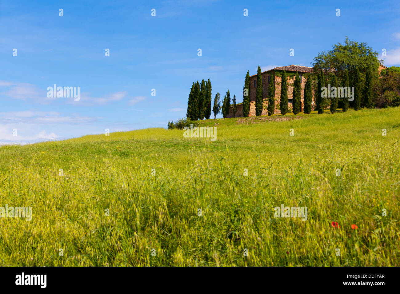 Tuscany farmhouse, Italy, Europe Stock Photo - Alamy