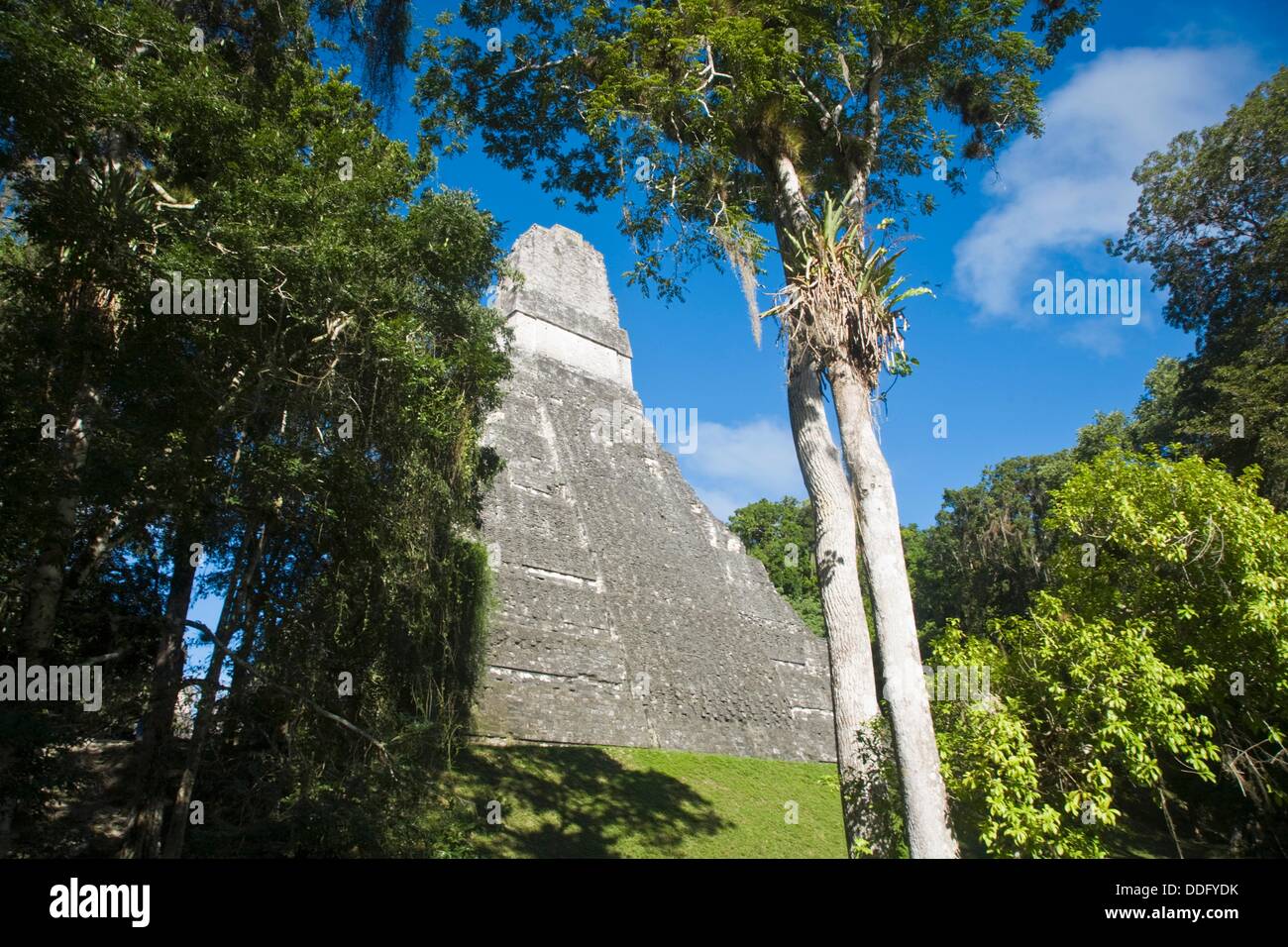 Giant Pyramid Temple Maya High Resolution Stock Photography and Images ...