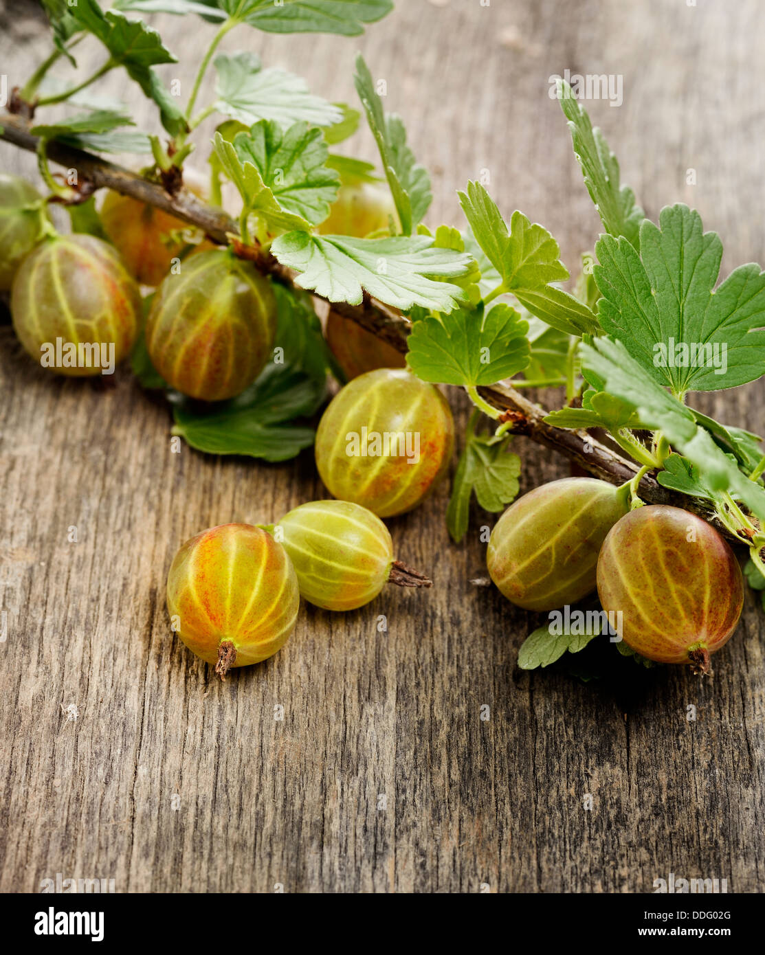Yellow gooseberries hi-res stock photography and images - Alamy