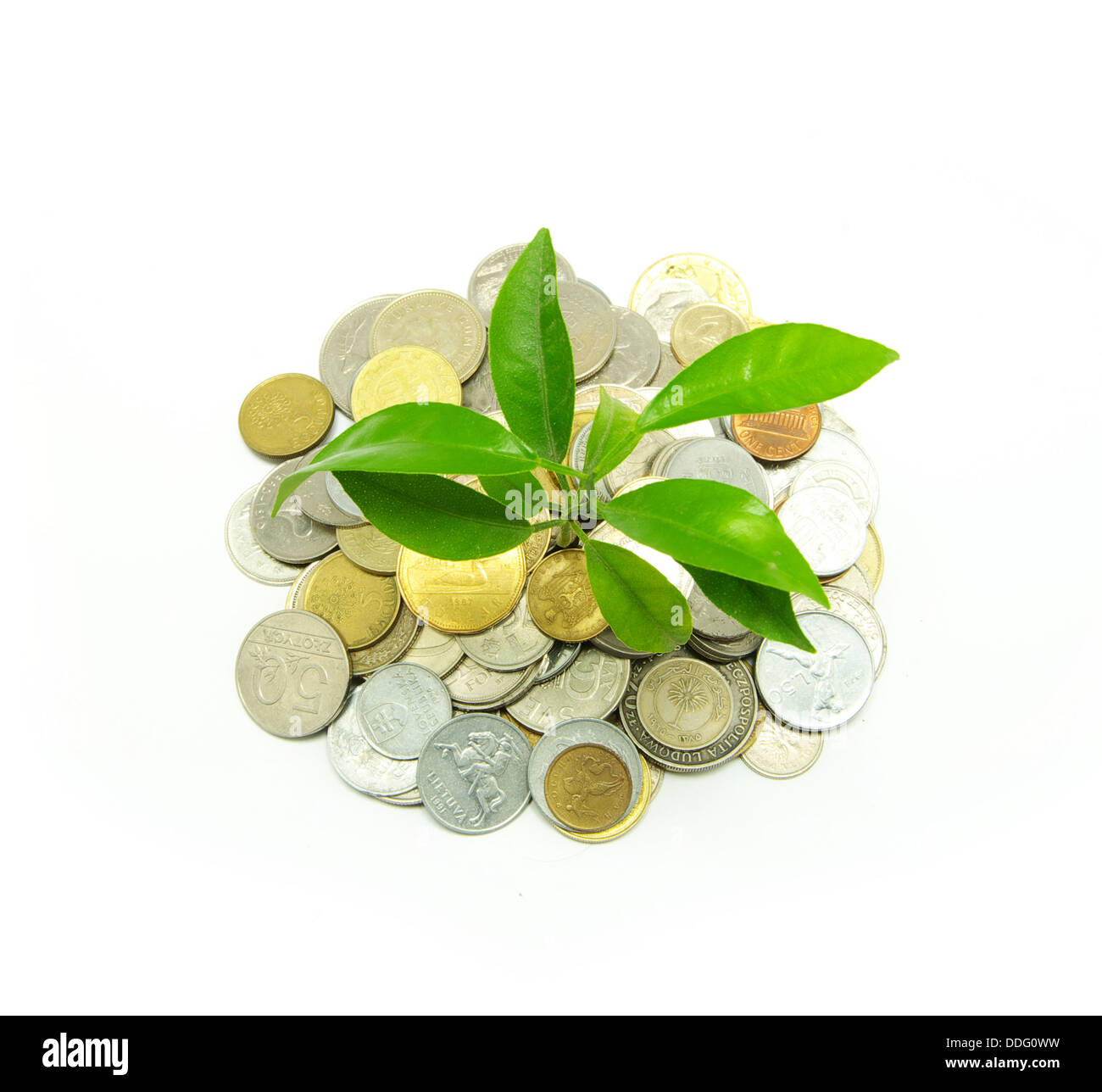 Tree with coins in it Cut Out Stock Images & Pictures - Alamy