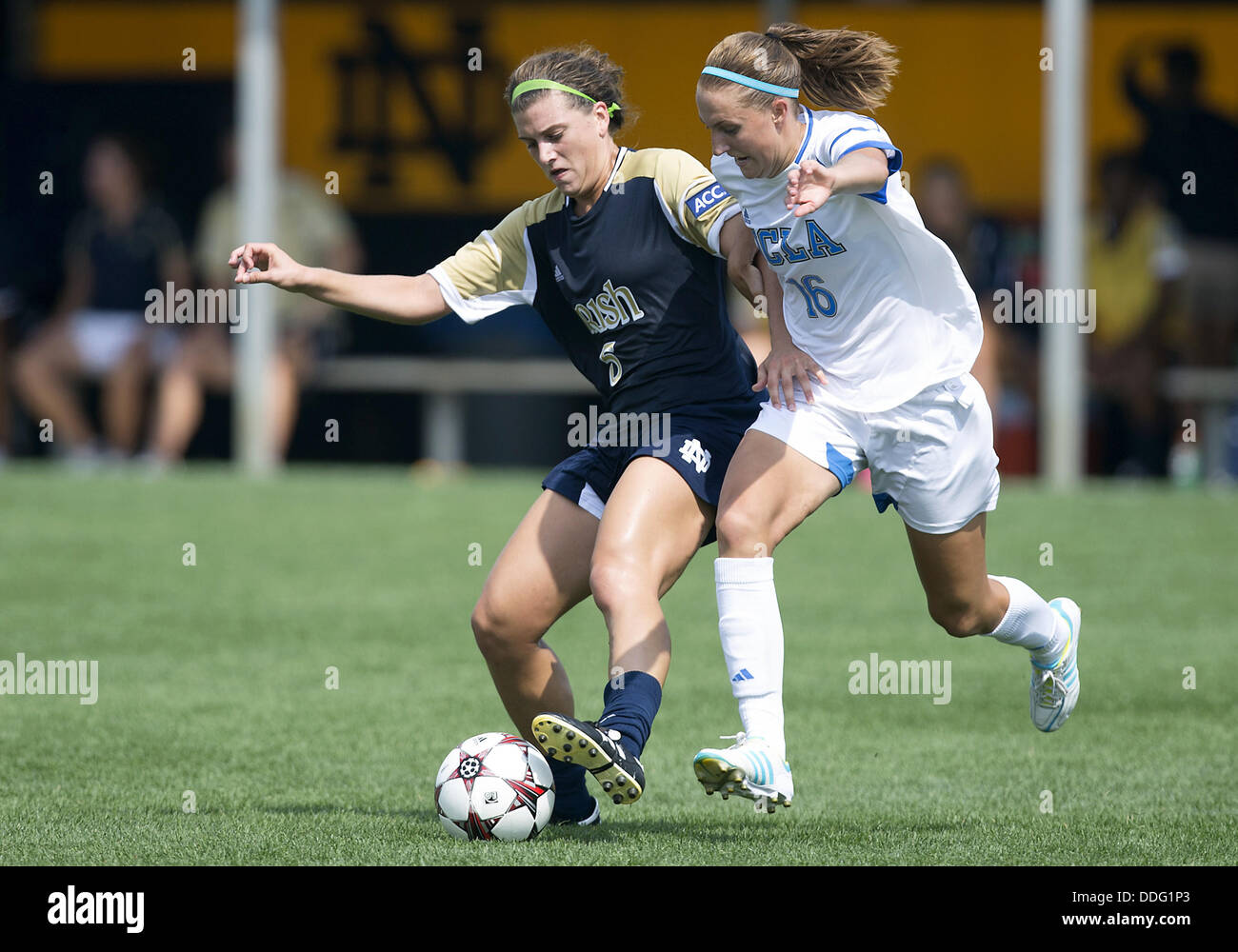 Killion hi-res stock photography and images - Alamy