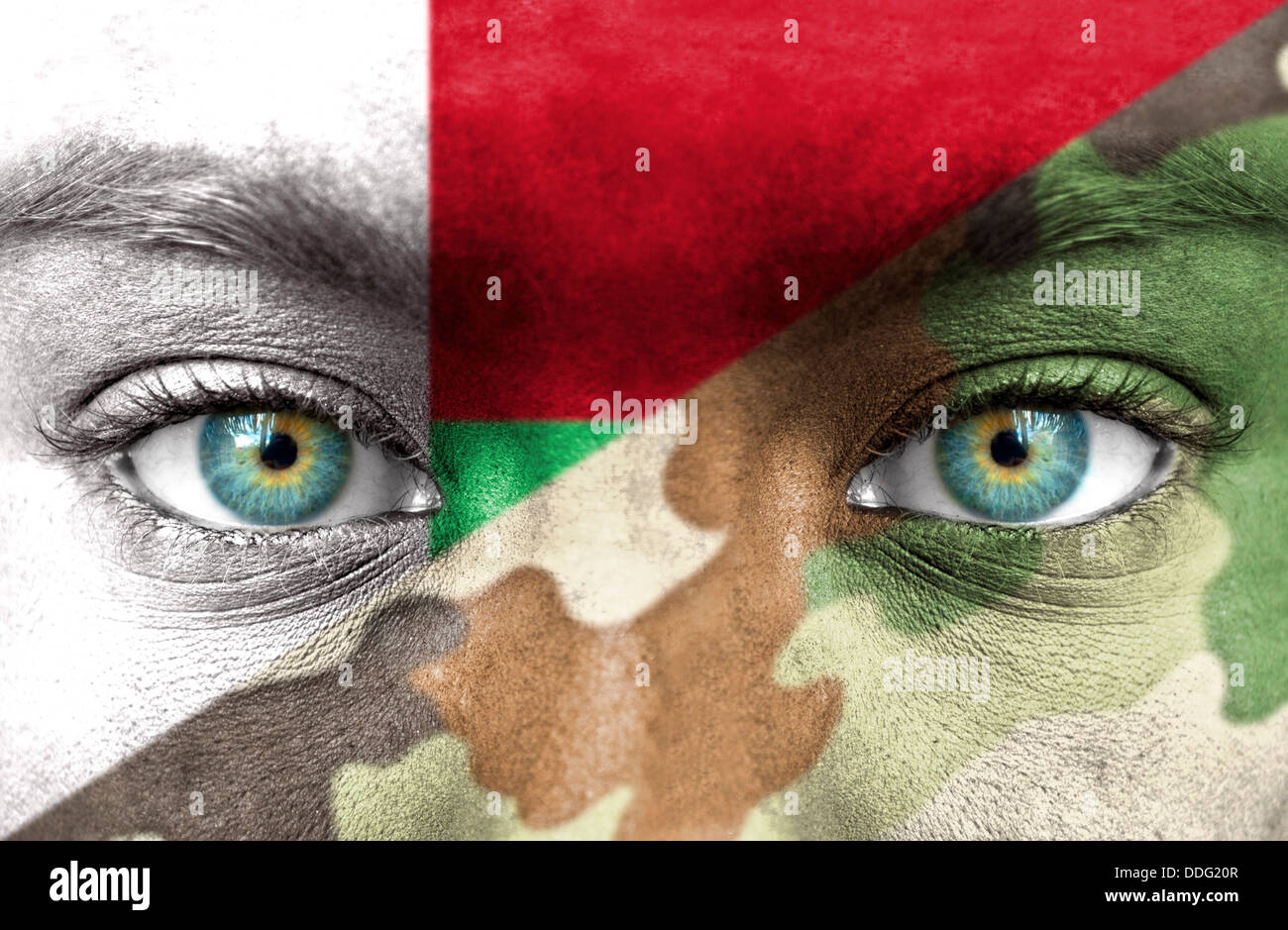 Battle of madagascar hi-res stock photography and images - Alamy