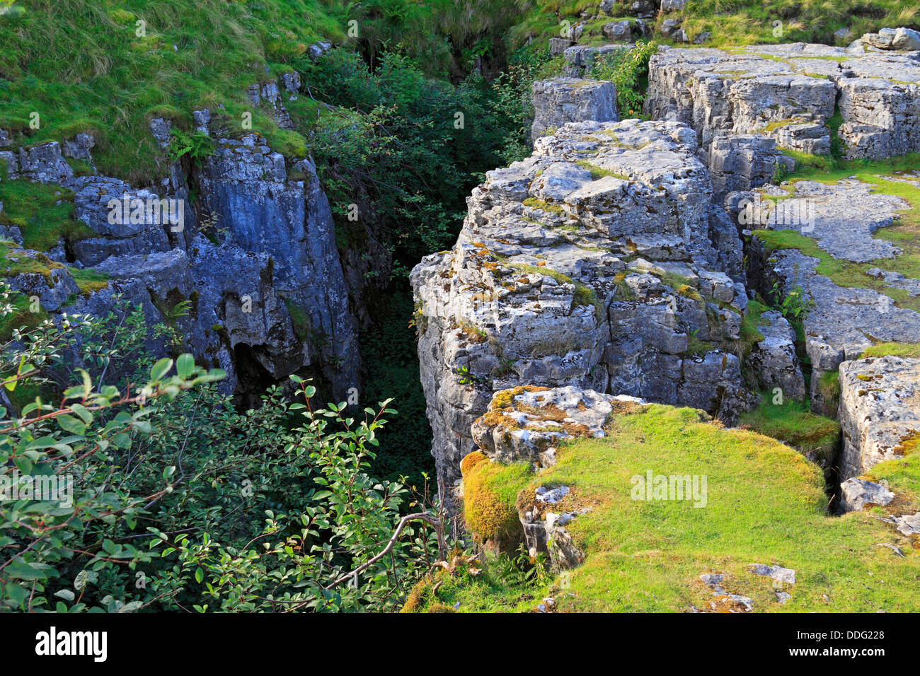 Buttertubs fluted limestone potholes, North Yorkshire, Yorkshire Dales ...