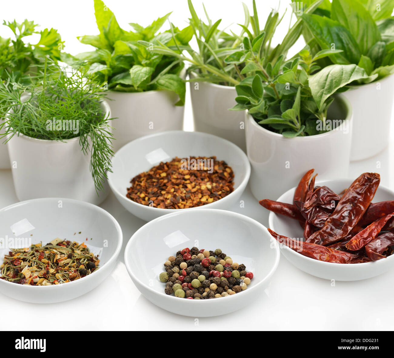 Herbs And Spices Stock Photo - Alamy