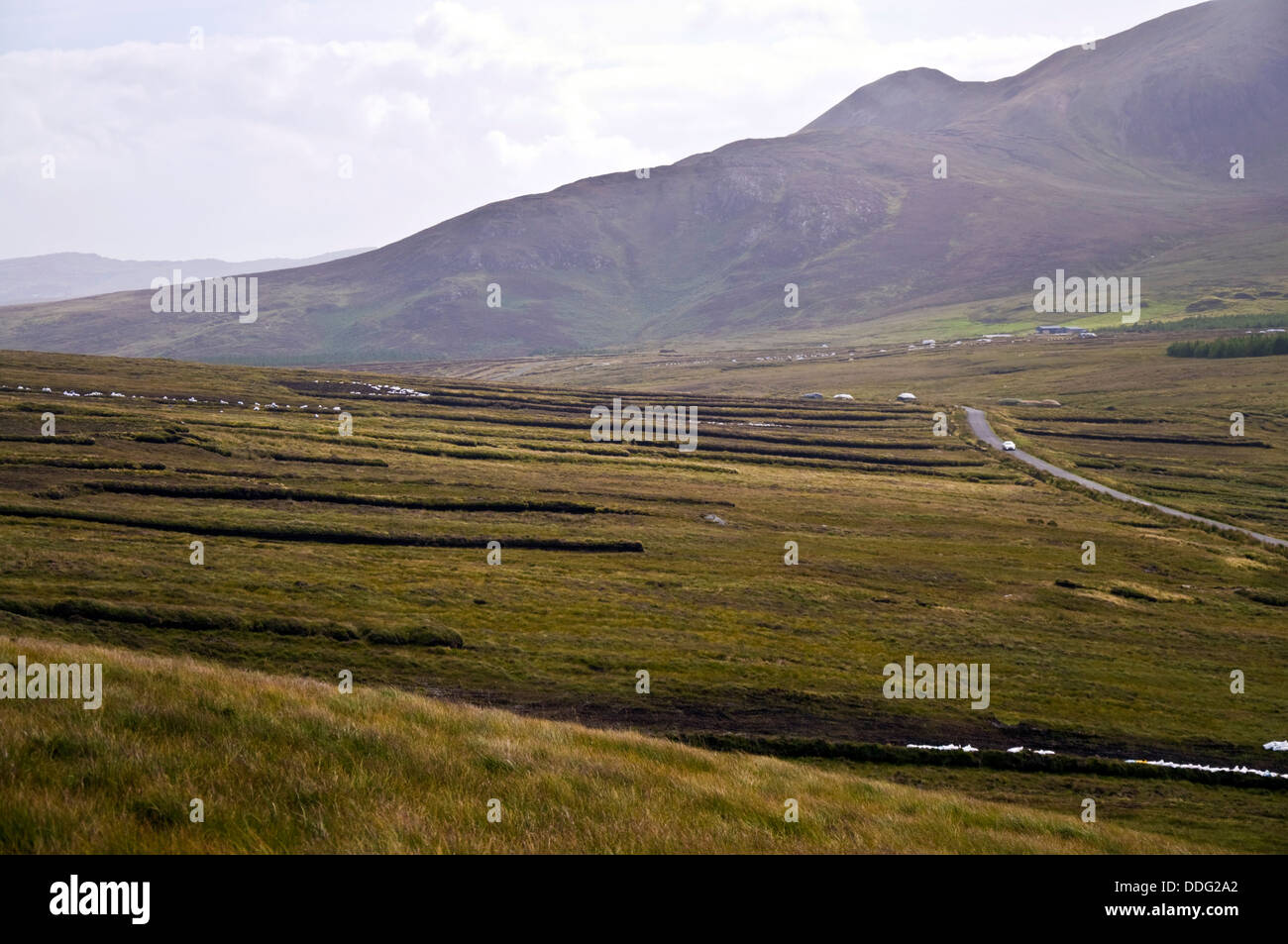 Turf diggings on blanket bog with plastic bags of turf awaiting ...