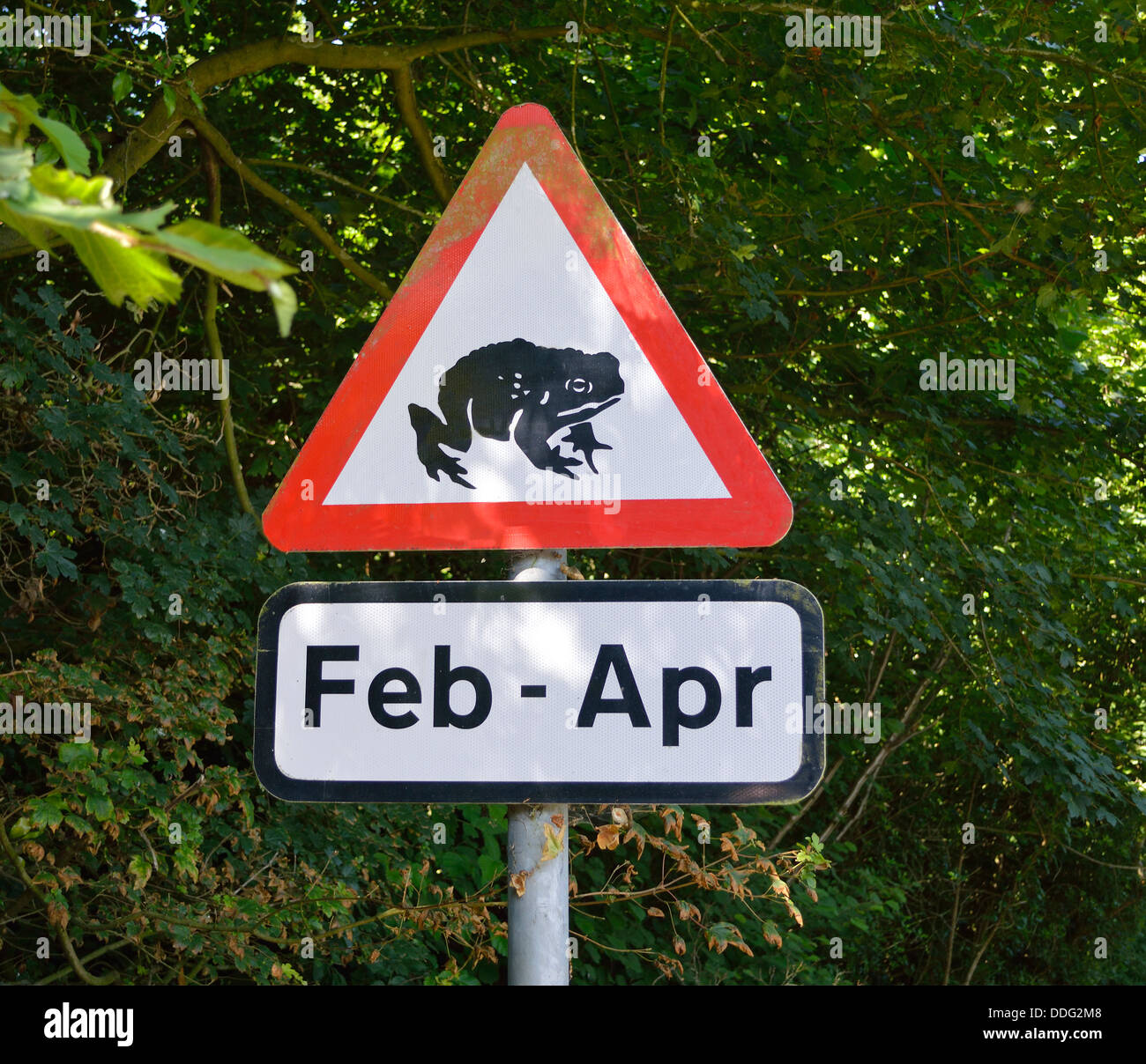 ROAD SIGN WARNING OF FROGS AND TOADS CROSSING ROAD BETWEEN FEBRUARY AND ...