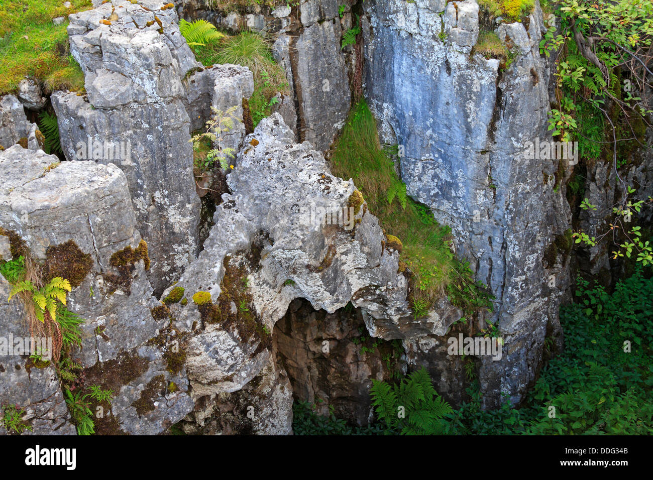 Buttertubs fluted limestone potholes, North Yorkshire, Yorkshire Dales ...