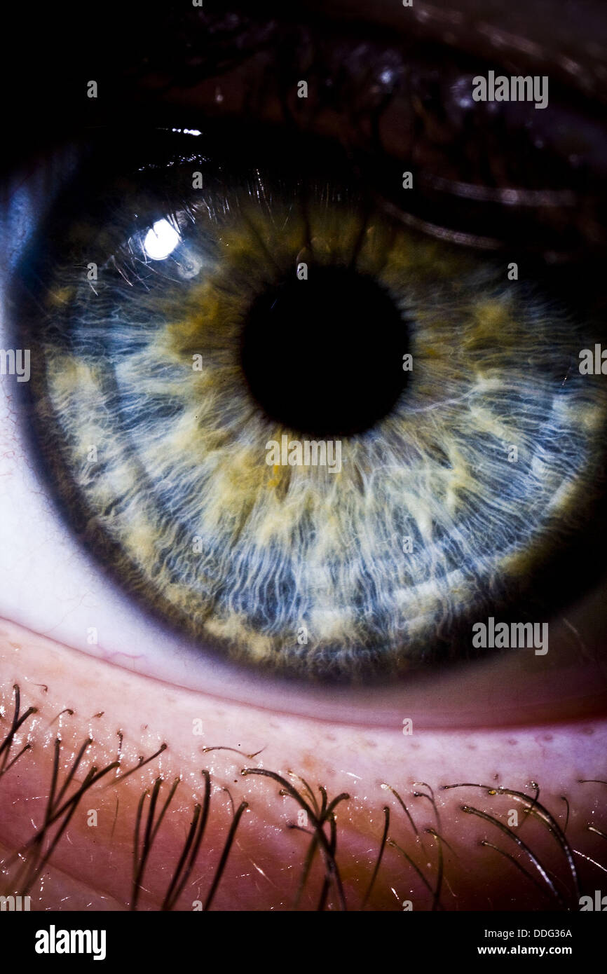 Sclera Stock Photos & Sclera Stock Images - Alamy