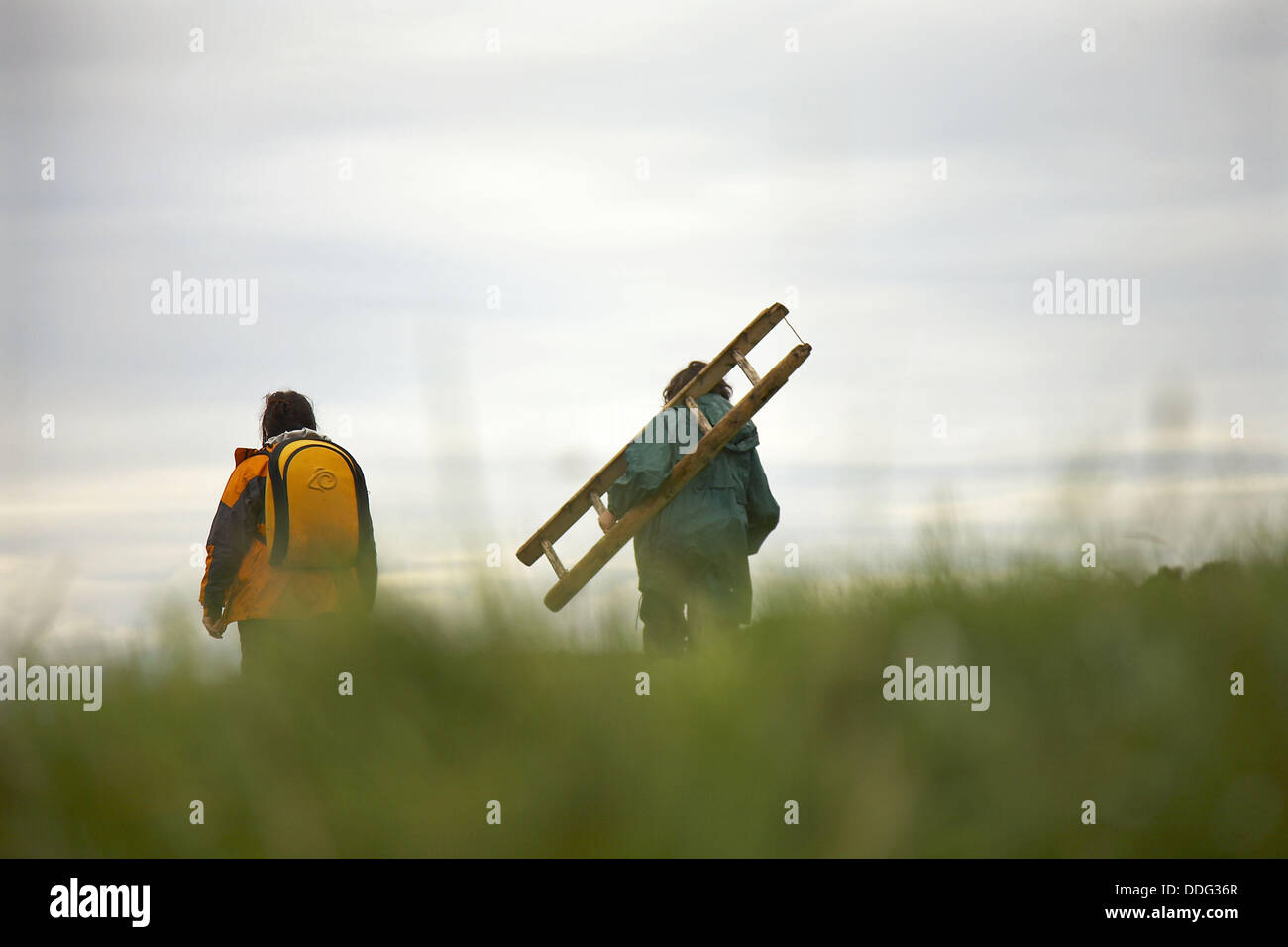 Two women walking and carrying a ladder Stock Photo - Alamy
