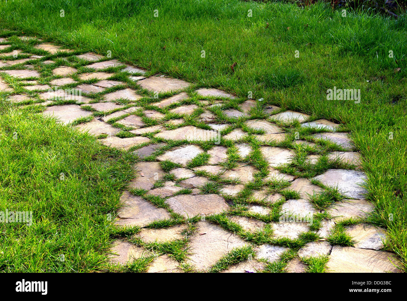 Hoggin path hi-res stock photography and images - Alamy