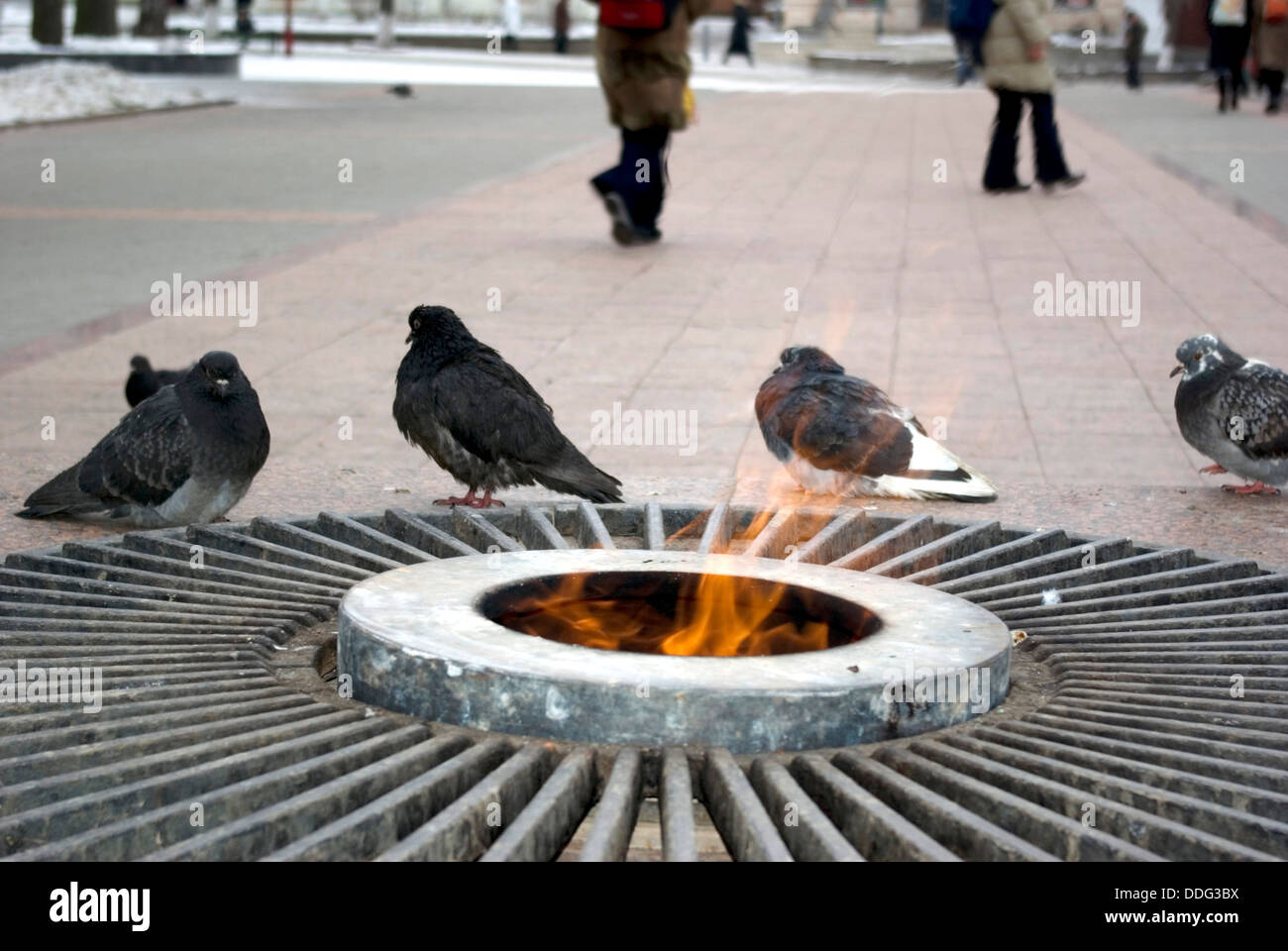 Don Bird High Resolution Stock Photography and Images - Alamy