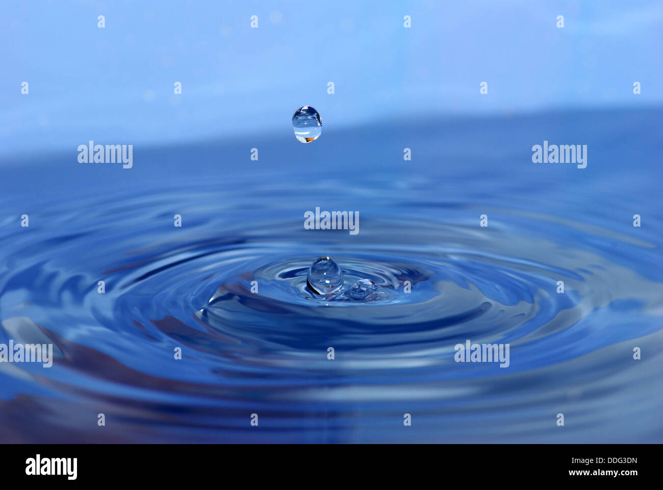 drop of water Stock Photo - Alamy
