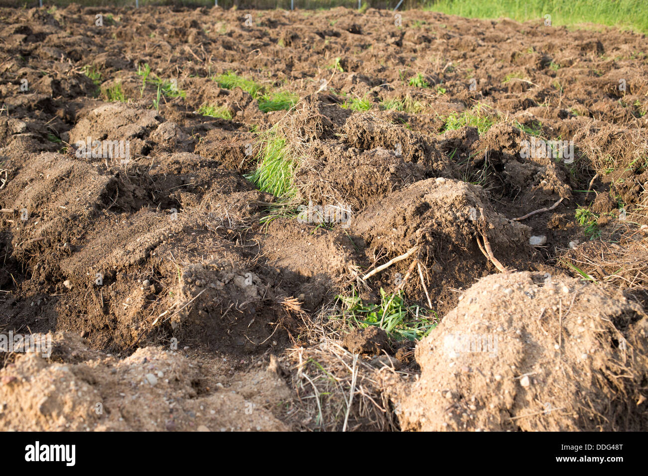 Soil in the ploughed field after harvest Stock Photo - Alamy