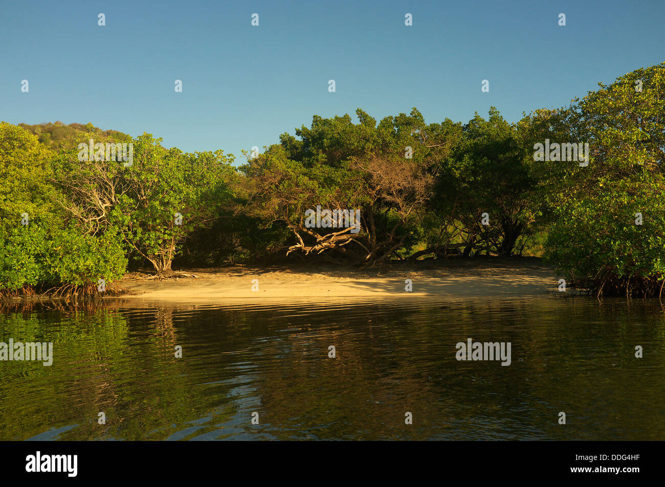 Hog Island High Resolution Stock Photography and Images - Alamy