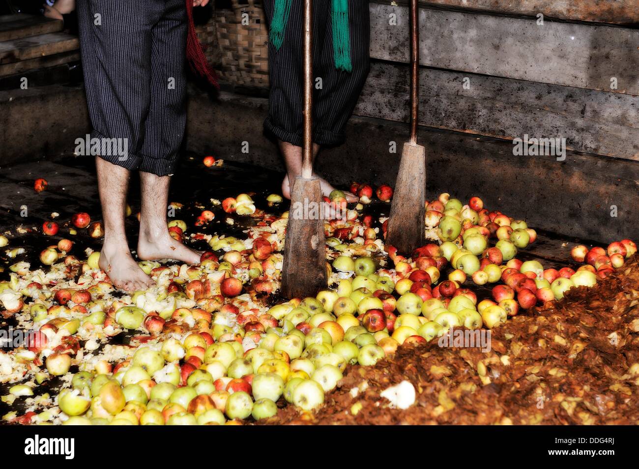 Crushing apples hi-res stock photography and images - Alamy