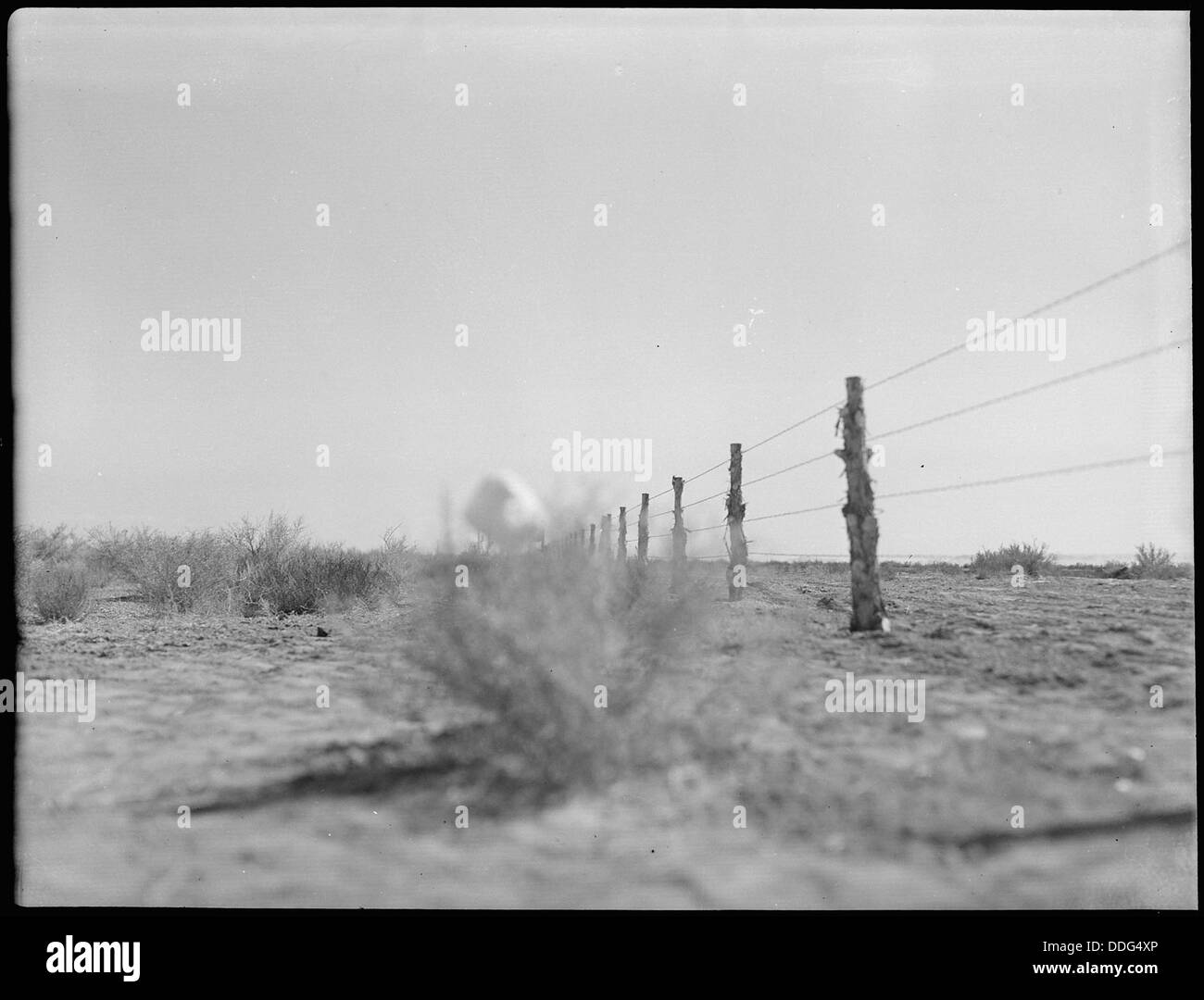 A photograph of army volunteers from Topaz, Utah, who were part of the ...