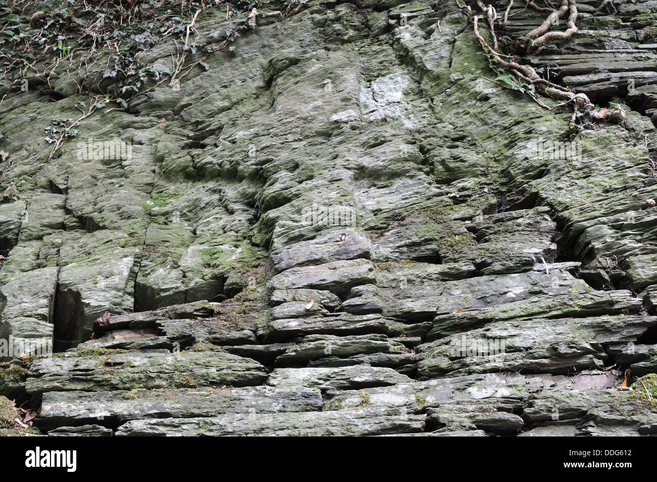 Pilgrims Cross Nevern cross cut into a rock on the Pilgrims Way between ...
