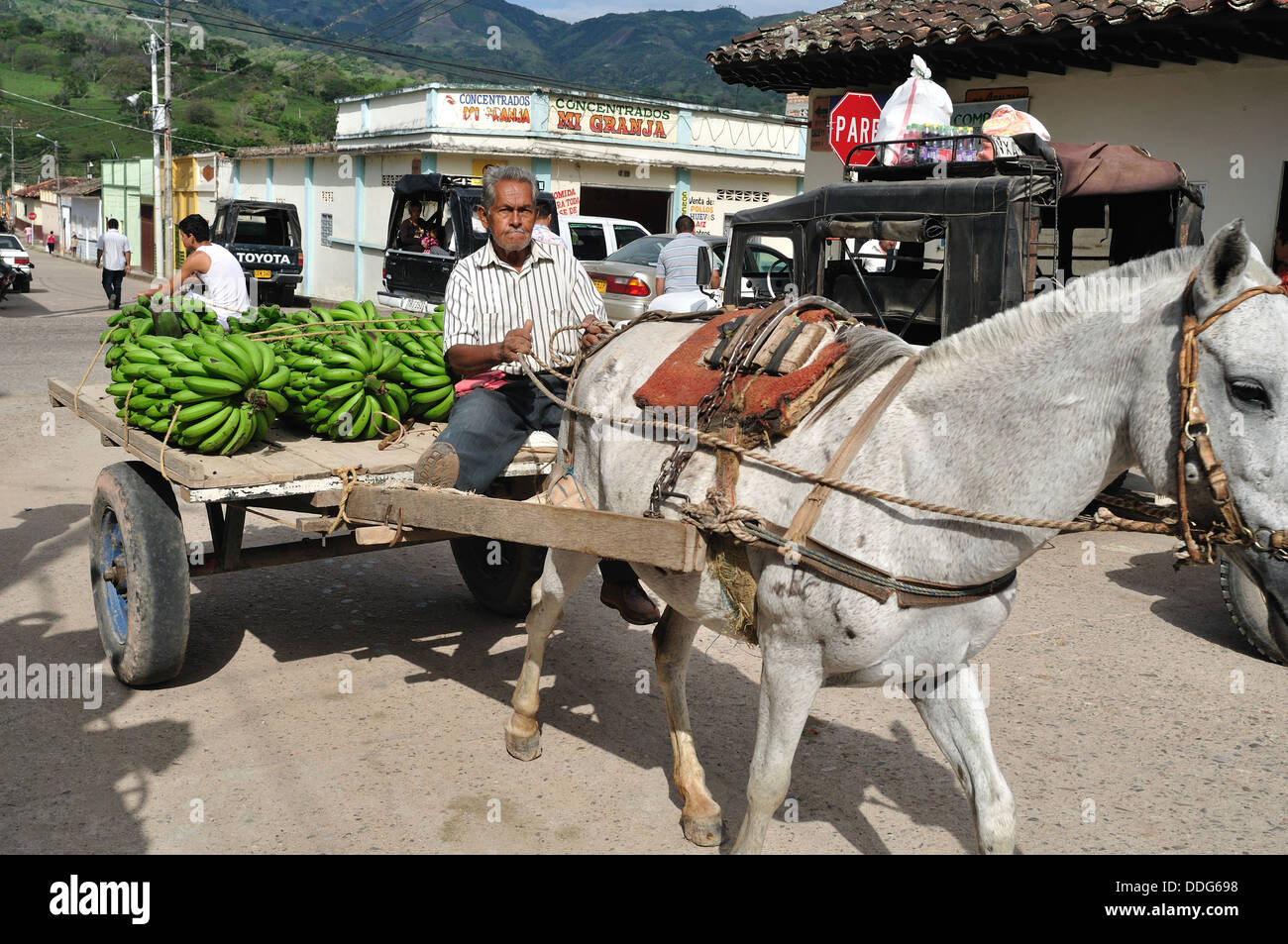 Timana hi-res stock photography and images - Alamy