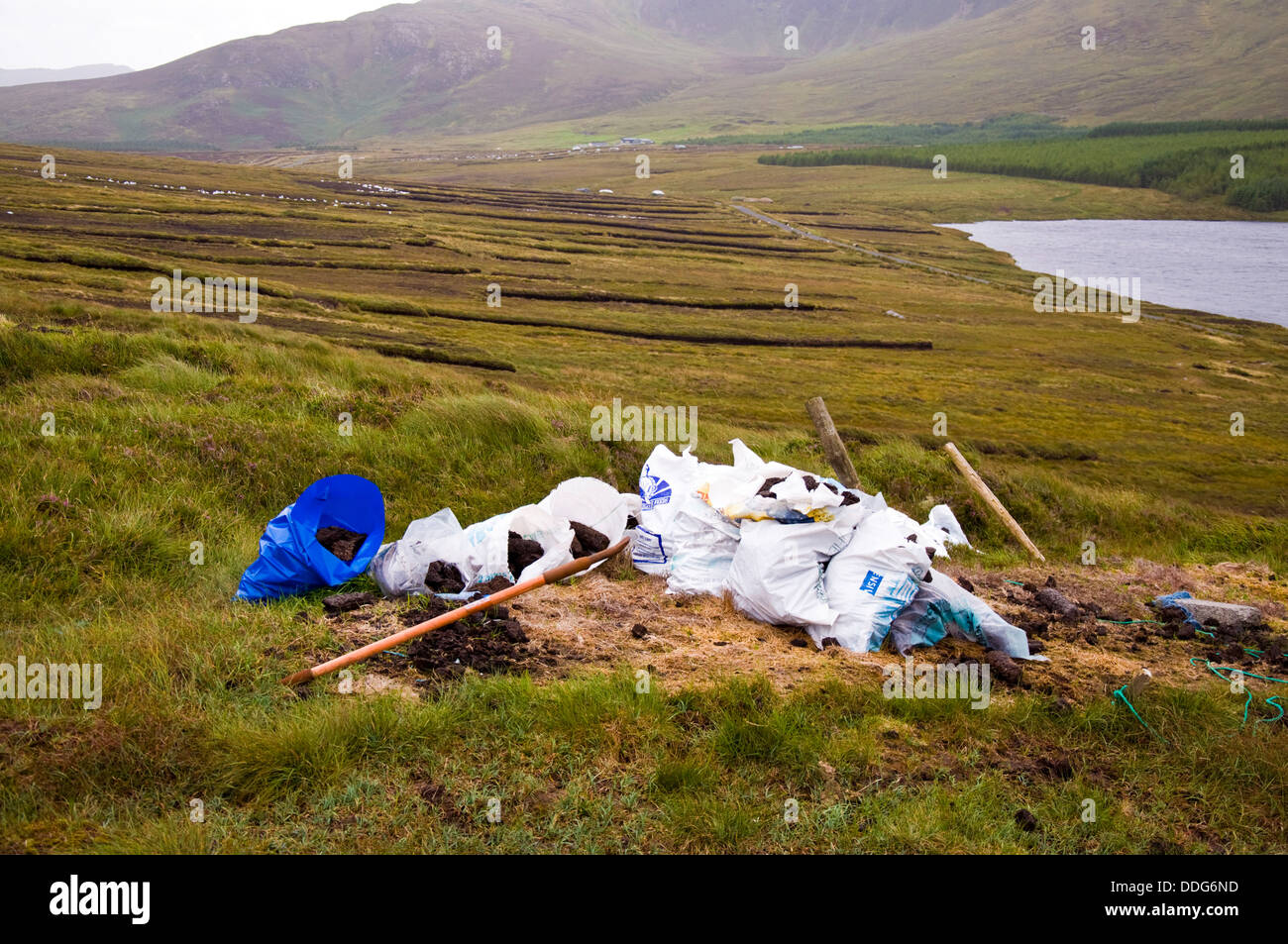 Turf diggings on blanket bog with plastic bags of turf awaiting ...