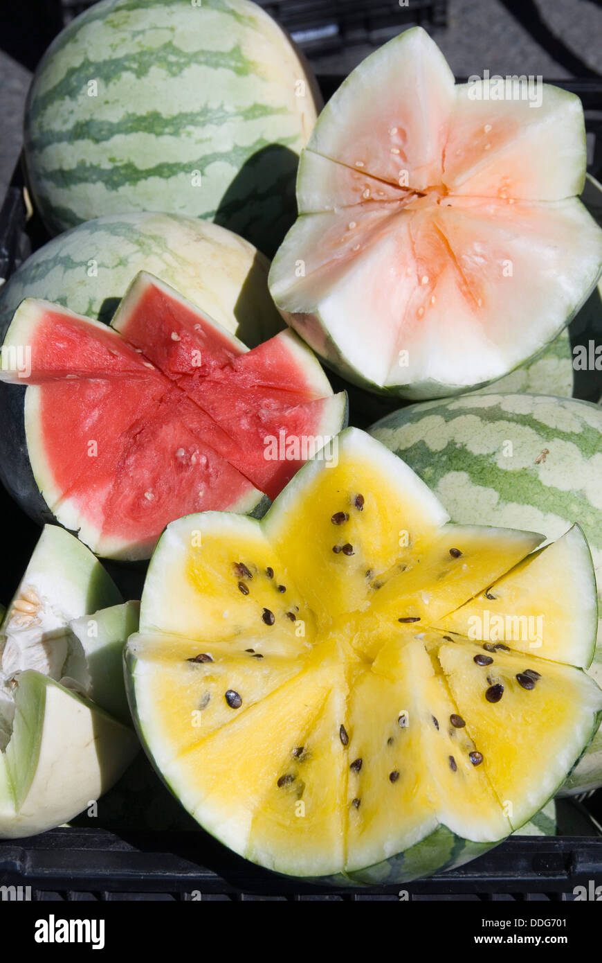 Selection of melons for sale at the Kittitas County farmers market ...