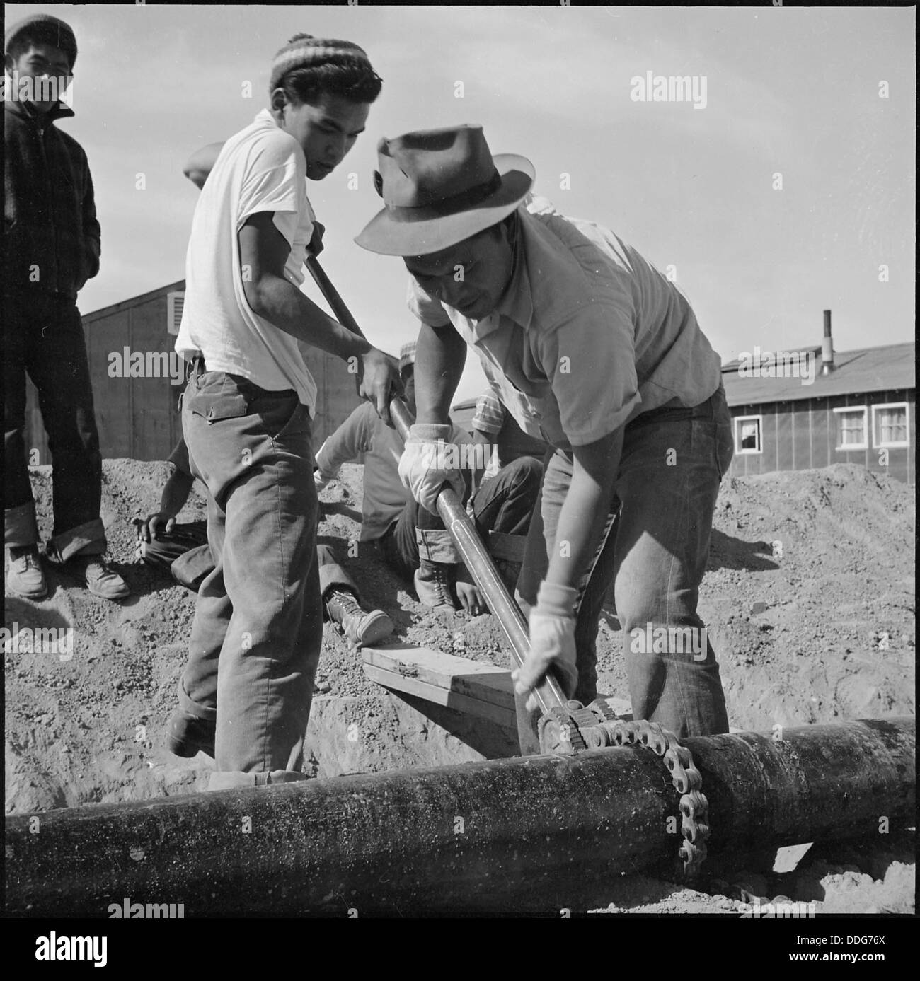 A photograph of young volunteer workers at the Topaz Relocation Center ...