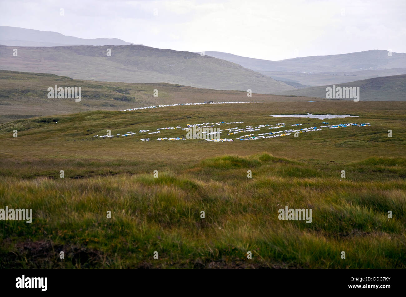 Plastic sacks bags of dried turf awaiting collection on a blanket bog ...