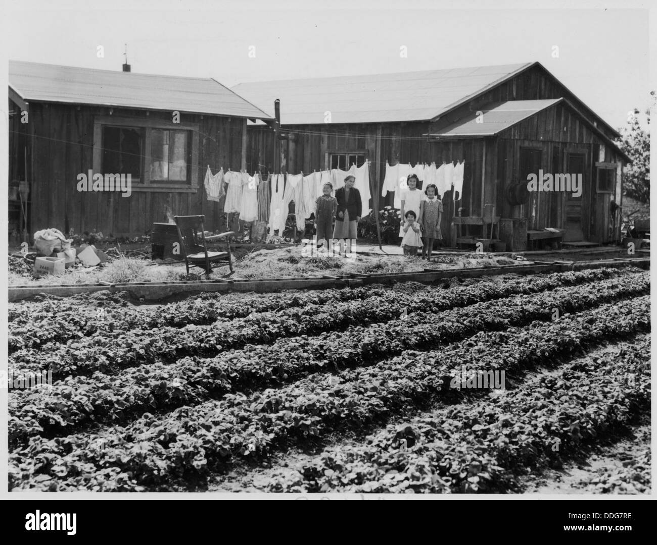 Silicon valley california view Black and White Stock Photos & Images ...