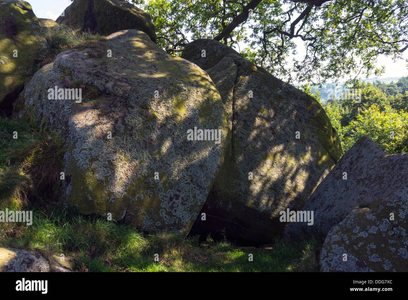 Large rounded gritstone boulders under tree dappled with sunshine Stock ...