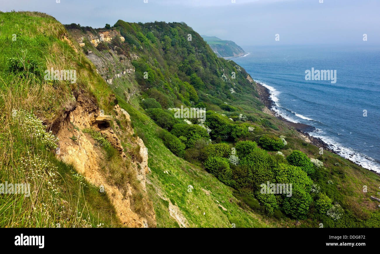 Cloughton hi-res stock photography and images - Alamy