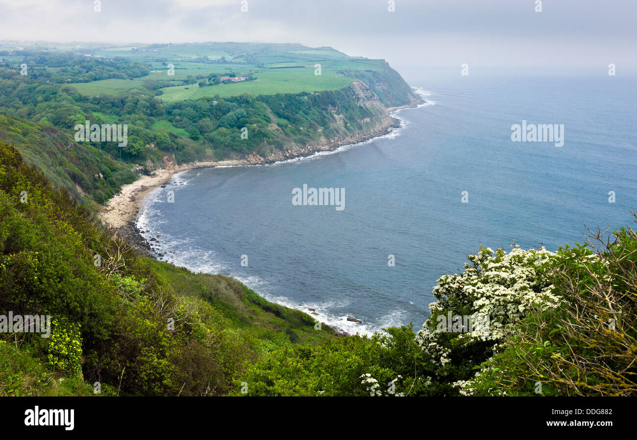 Cloughton Scarborough North High Resolution Stock Photography and ...