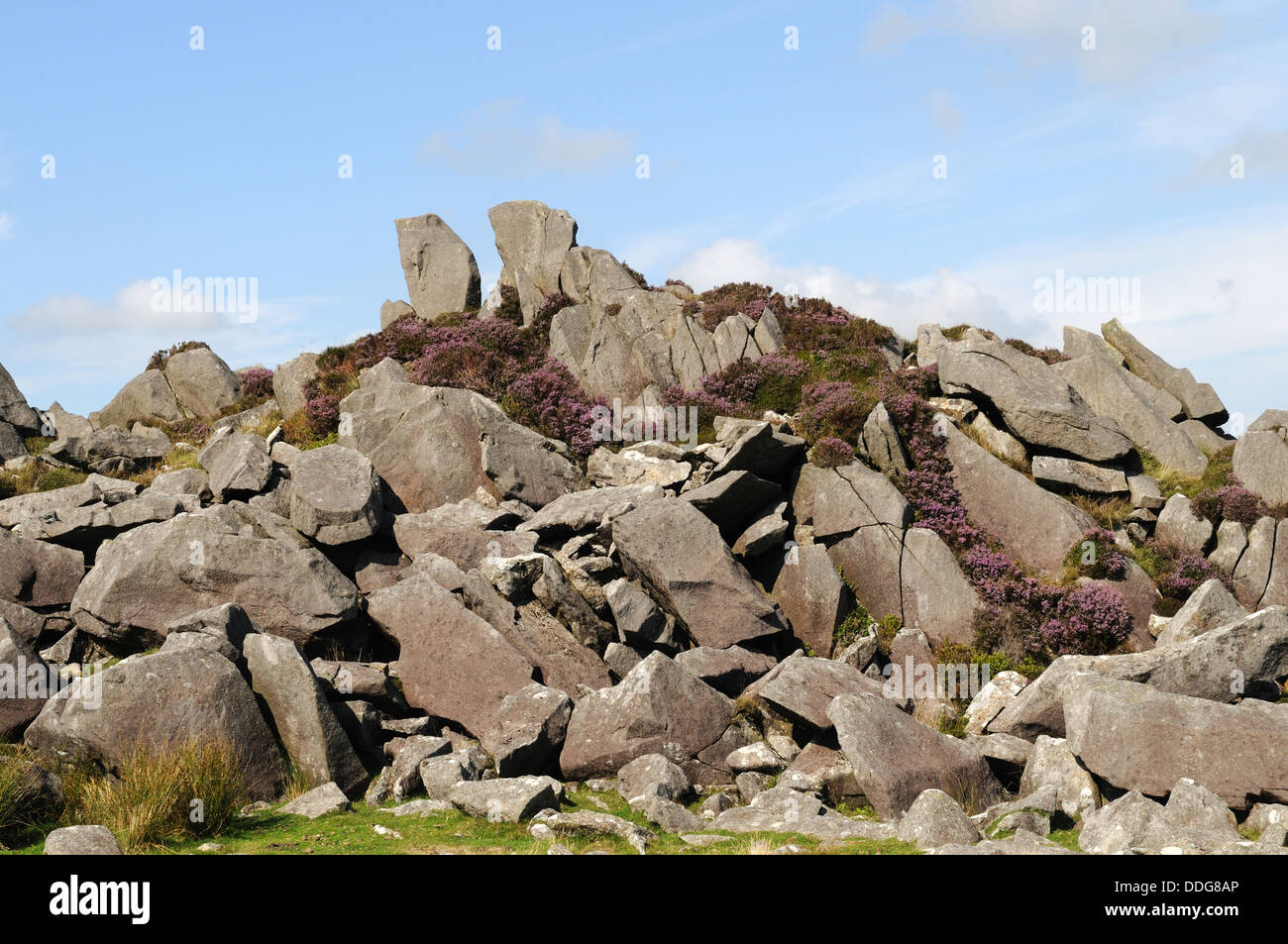Bluestones outcrops of spotted dolerite Carn Menyn or Carn Meini ...