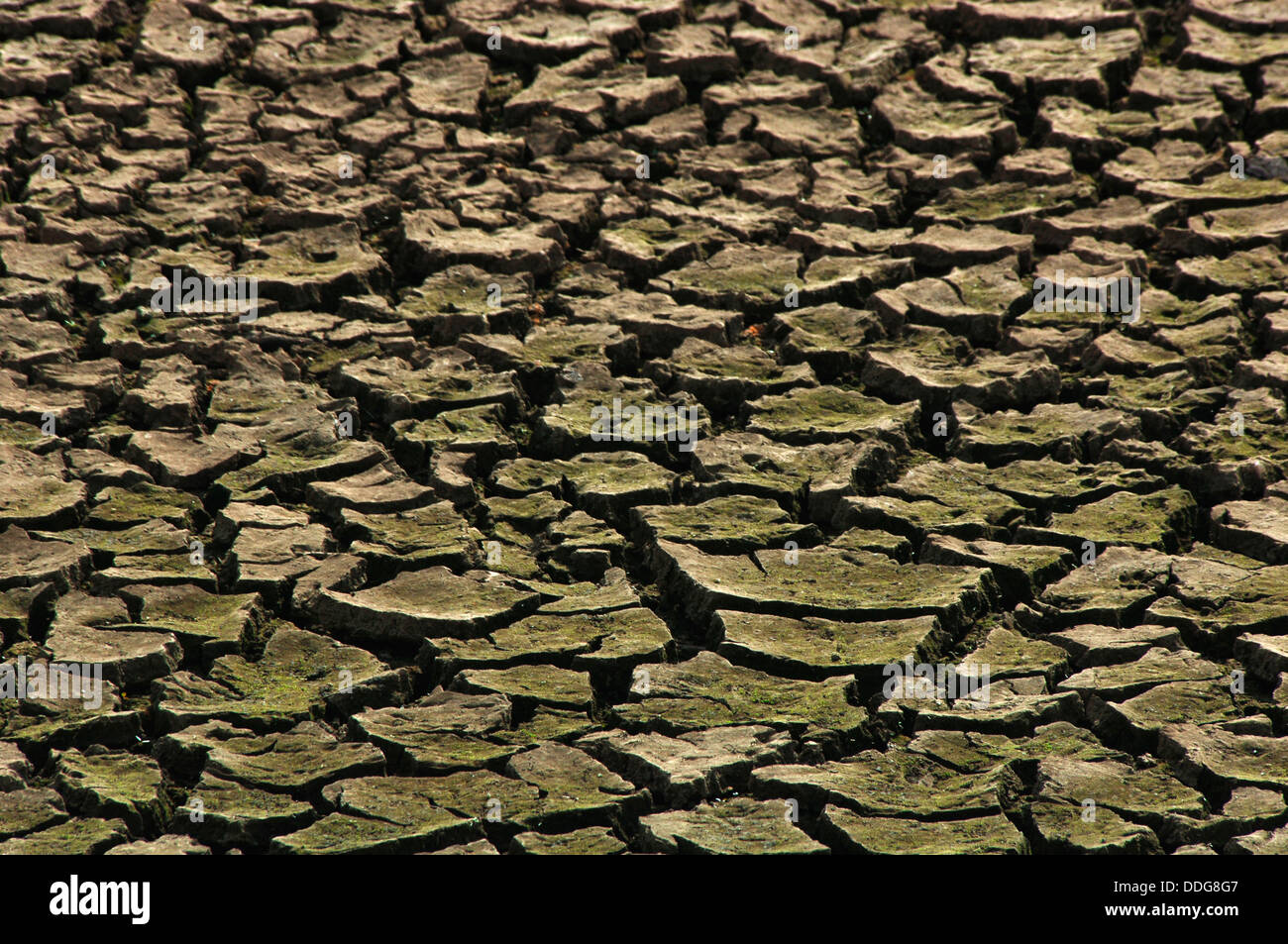 Dried Out Reservoir Bed Stock Photo - Alamy
