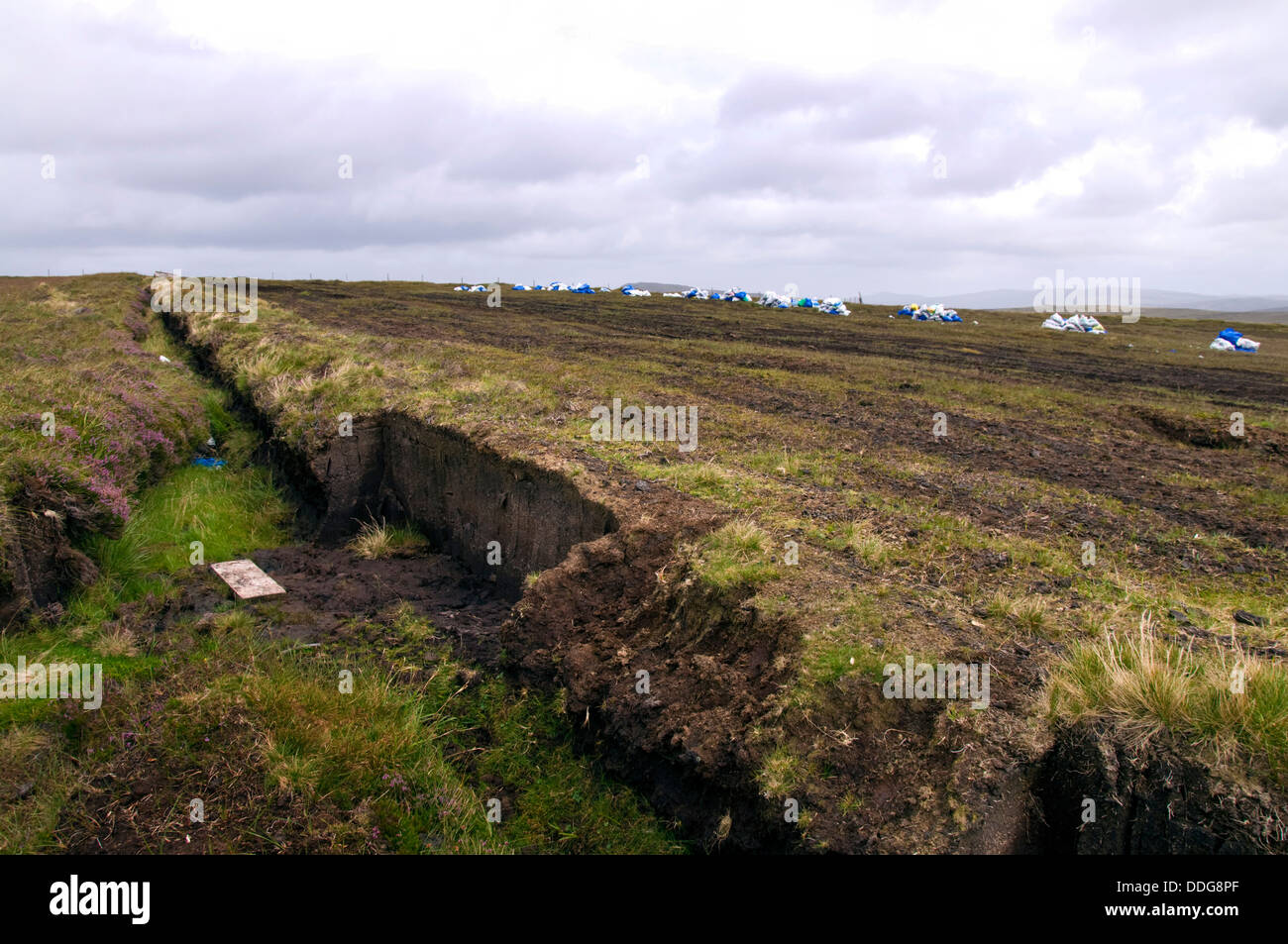 Plastic sacks bags of dried turf awaiting collection and trench face of ...