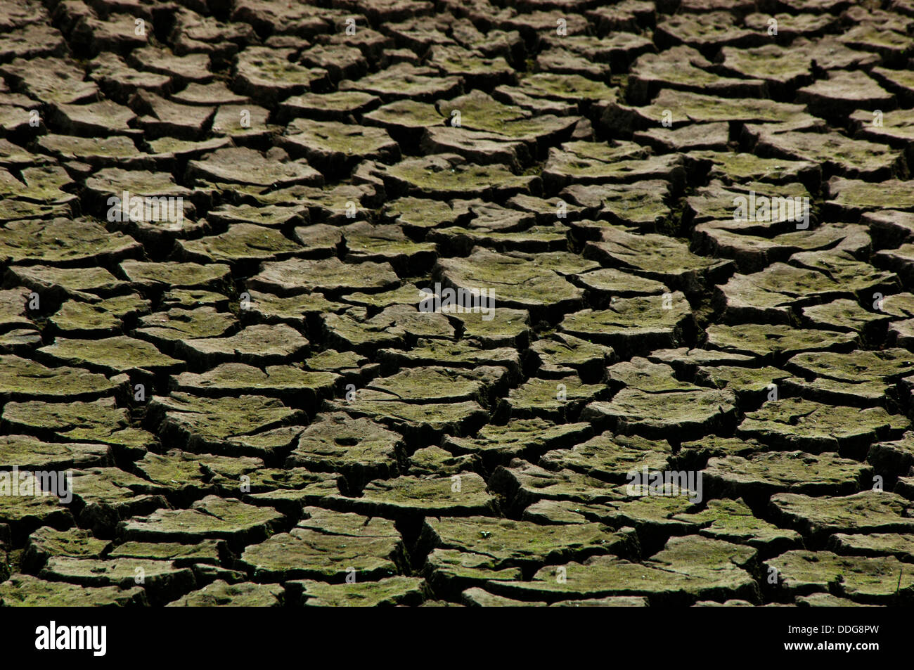 Sediment bed hi-res stock photography and images - Alamy