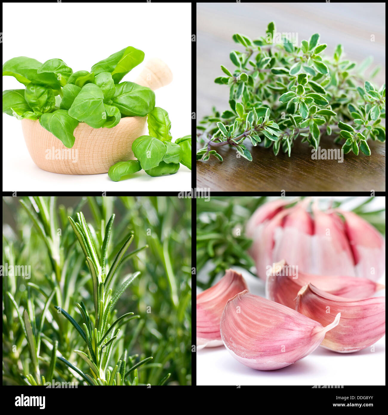 a collage of four pictures of herbs and garlic Stock Photo - Alamy