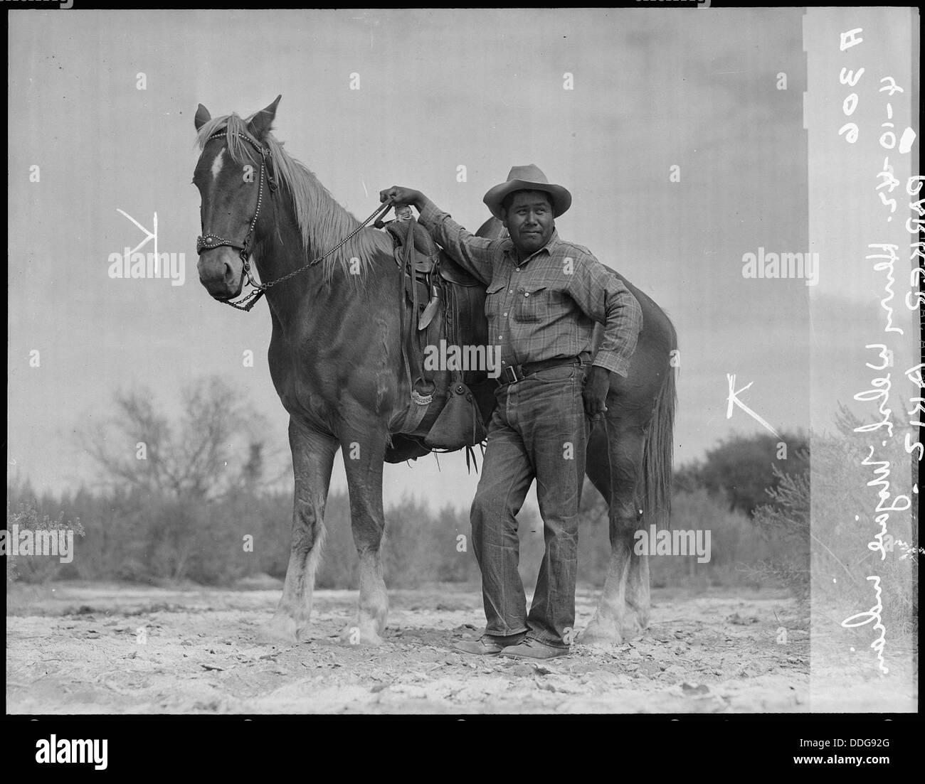 Henry Welsh, a Mojave Indian and the chairman of the tribal council in ...