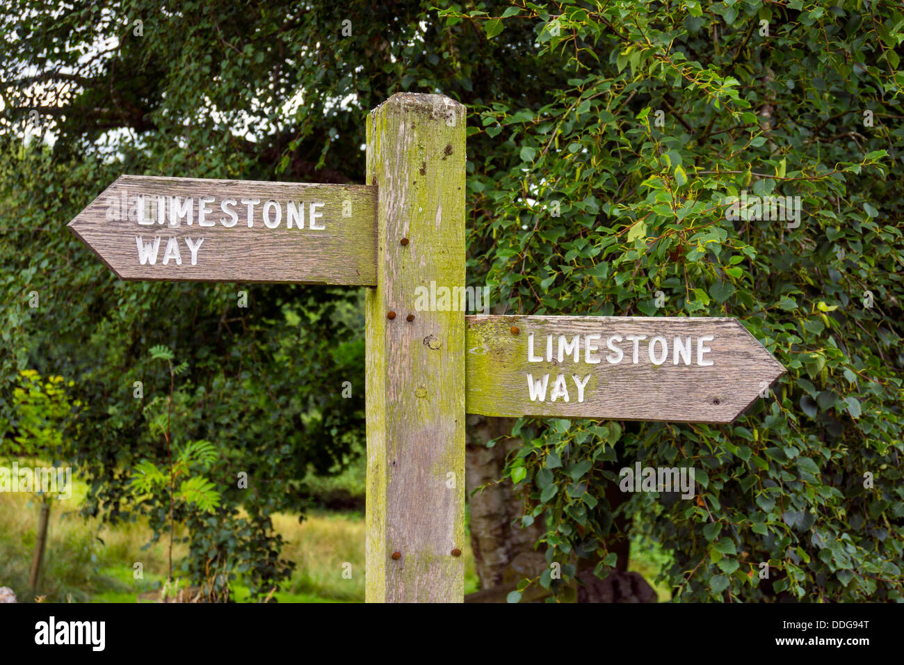 Wooden signs hi-res stock photography and images - Alamy