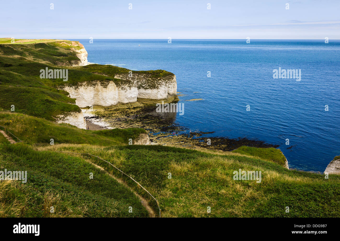 High chalk cliffs, Flamborough Head, Yorkshire, UK Stock Photo - Alamy