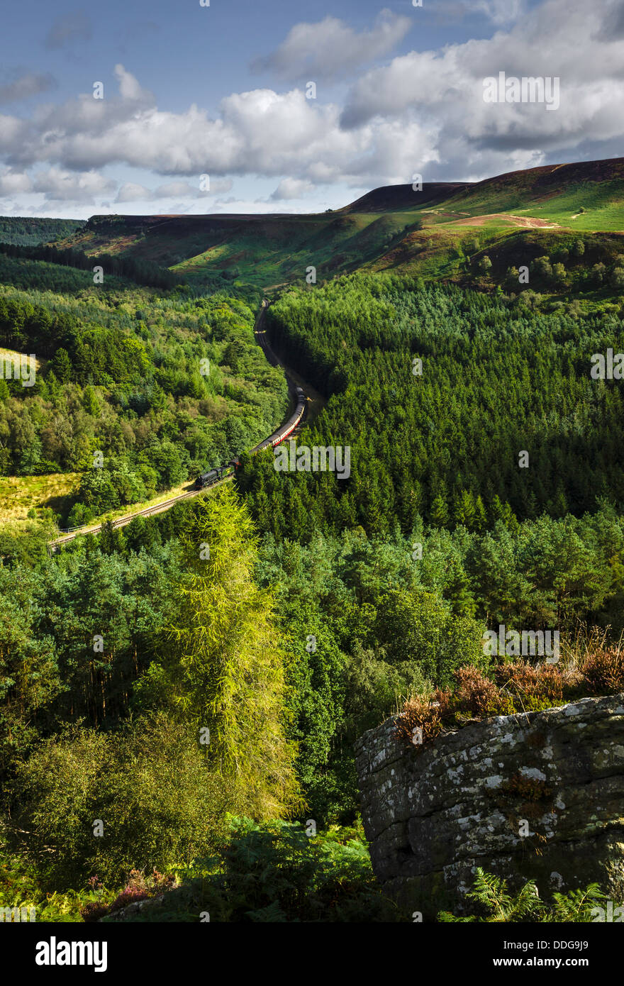 Vintage steam train, North York Moors, National Park, Levisham ...
