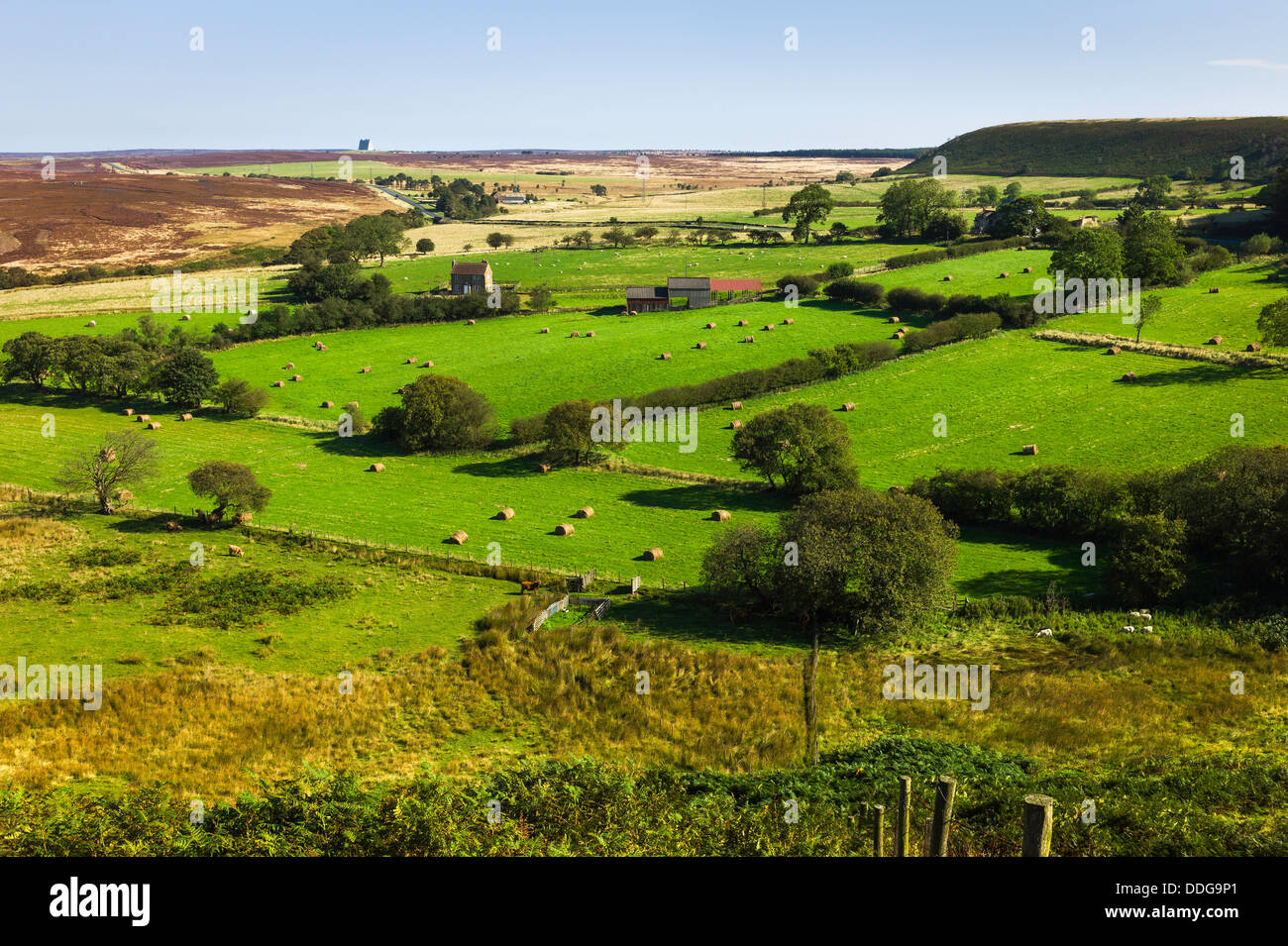 Glebe Farm, North York Moors, Goathland, Yorkshire, UK Stock Photo - Alamy