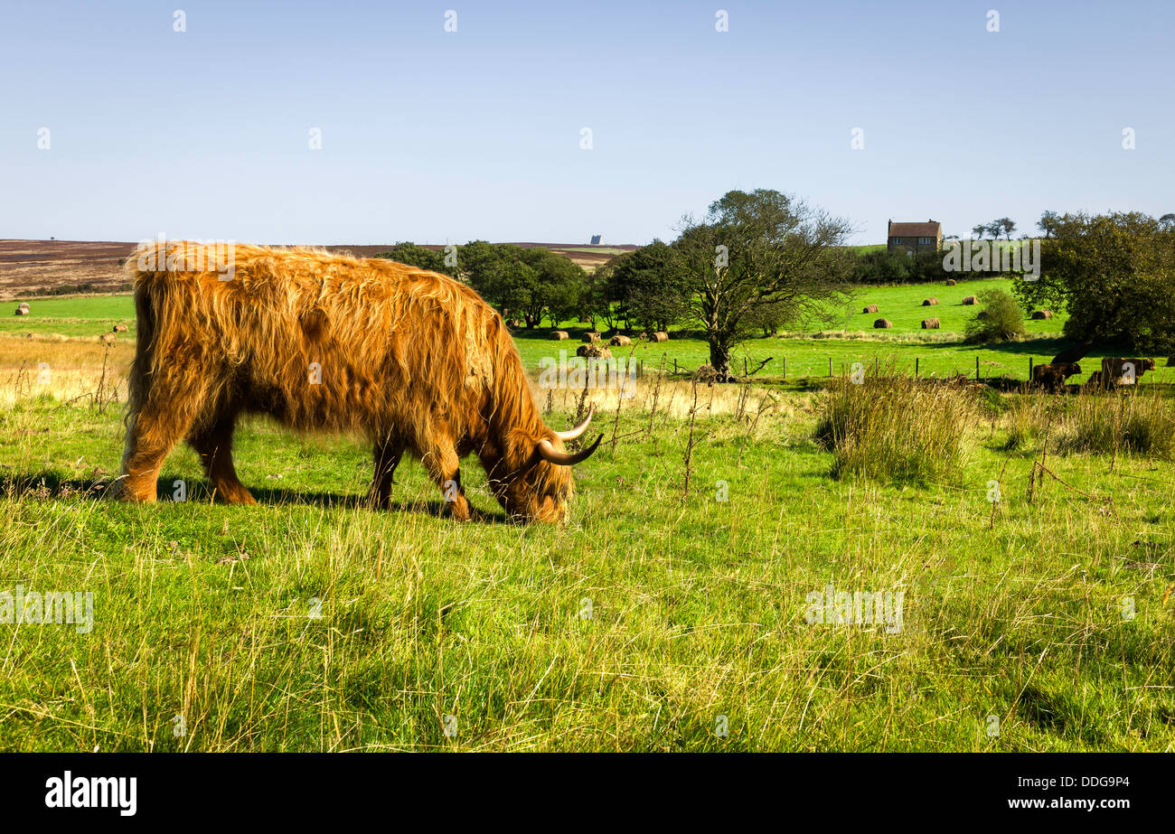 Glebe farm hi-res stock photography and images - Alamy