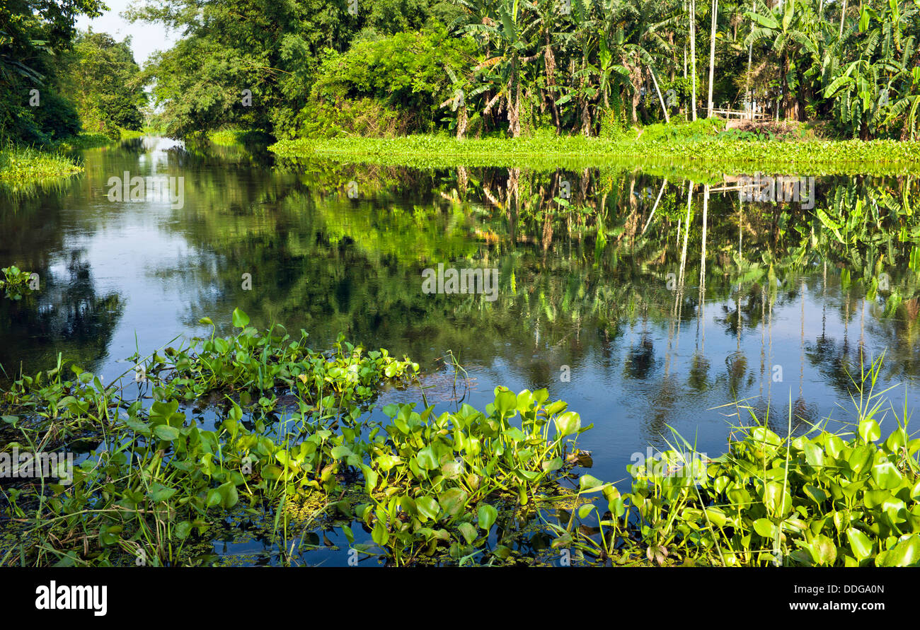 Majuli Nature High Resolution Stock Photography and Images - Alamy