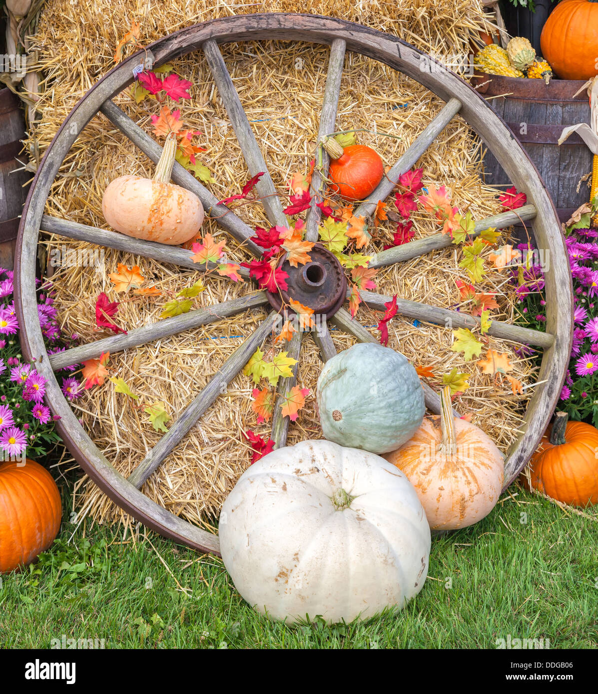 Wagon mums hi-res stock photography and images - Alamy