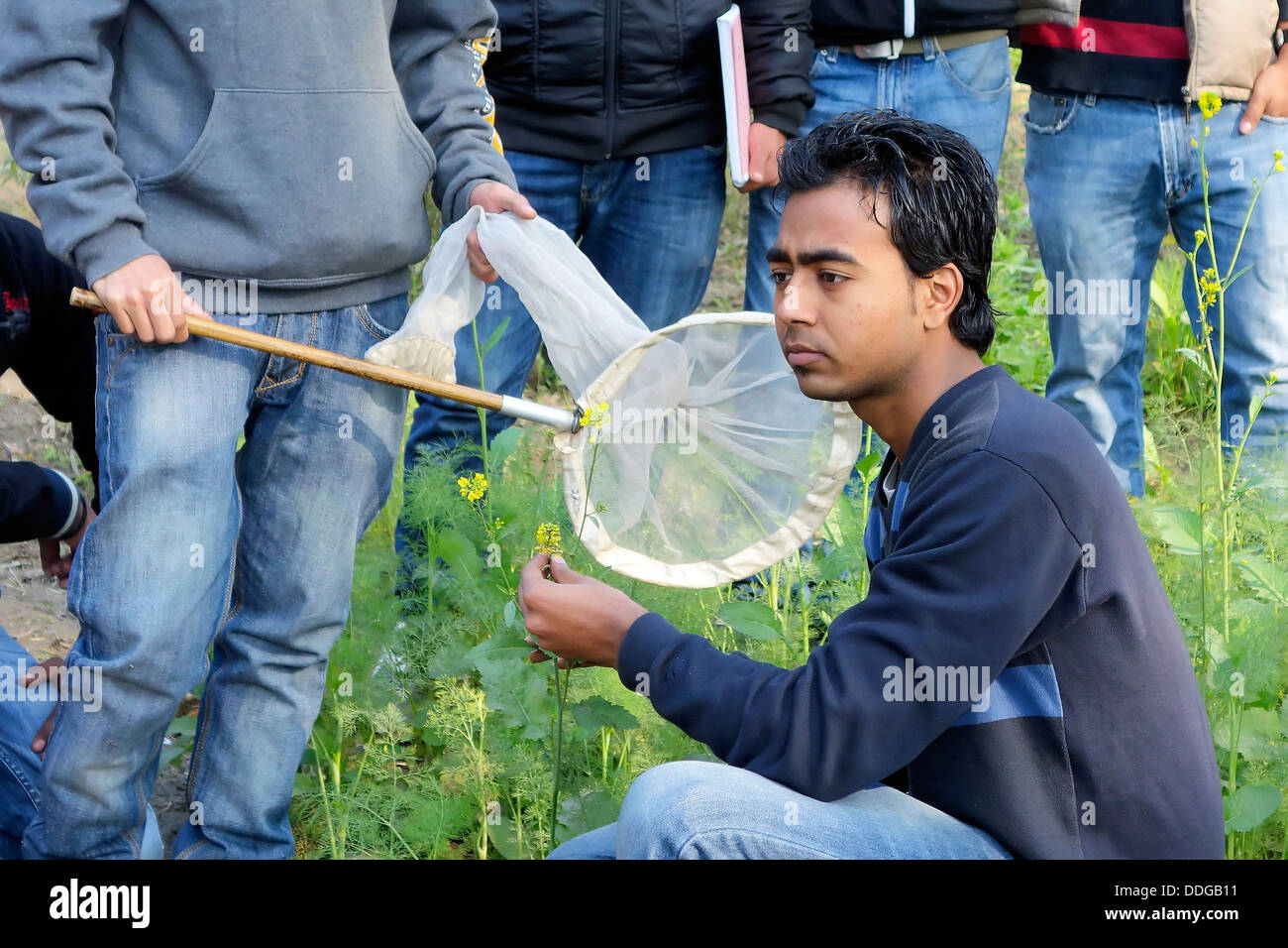 Botany students in the botanical garden Stock Photo - Alamy
