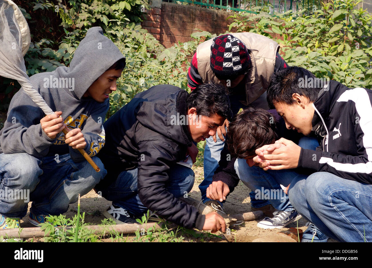 Botany students in the botanical garden Stock Photo - Alamy
