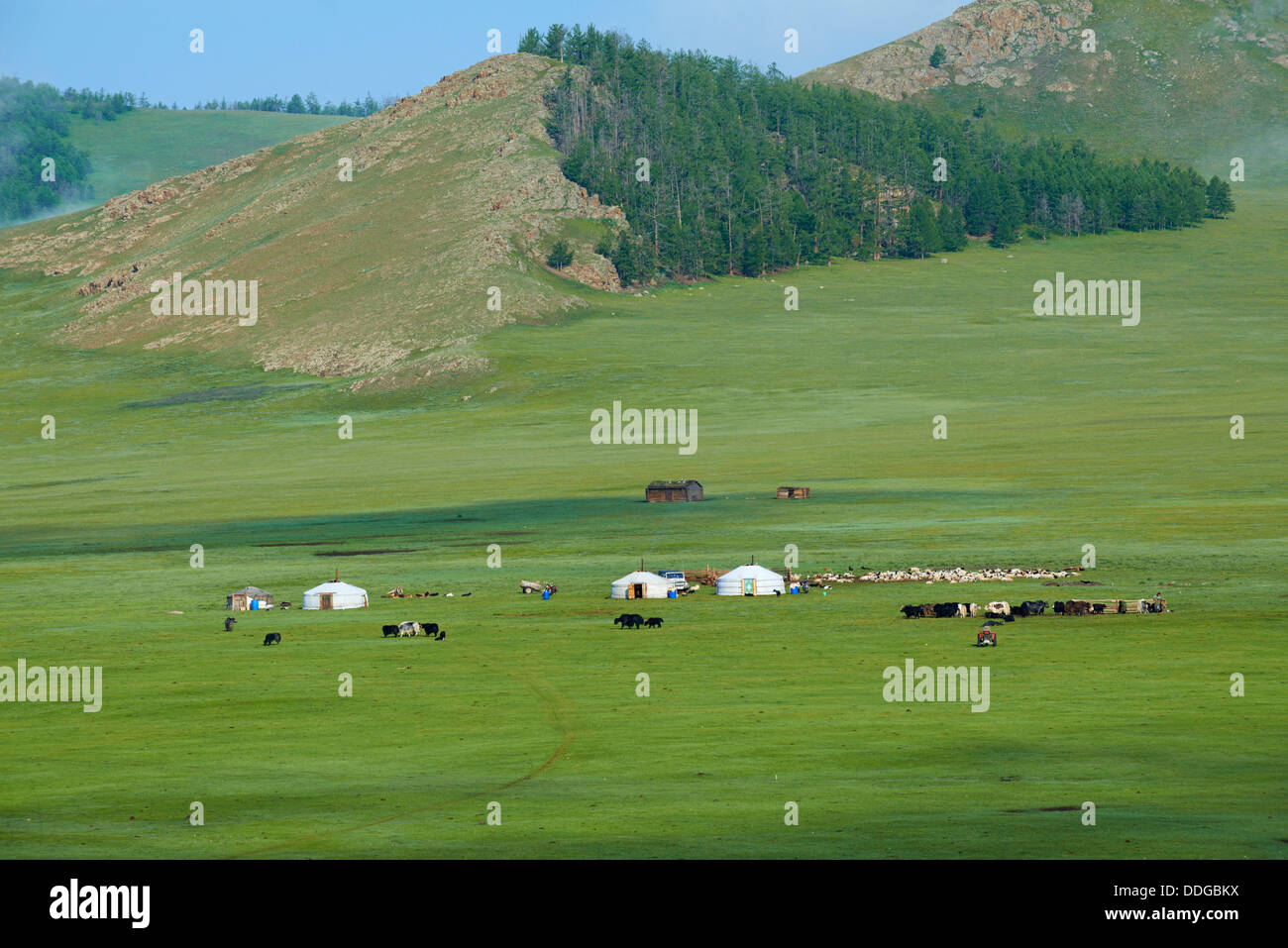 Mongolia, Ovorkhangai province, Okhon valley, Nomad camp Stock Photo ...