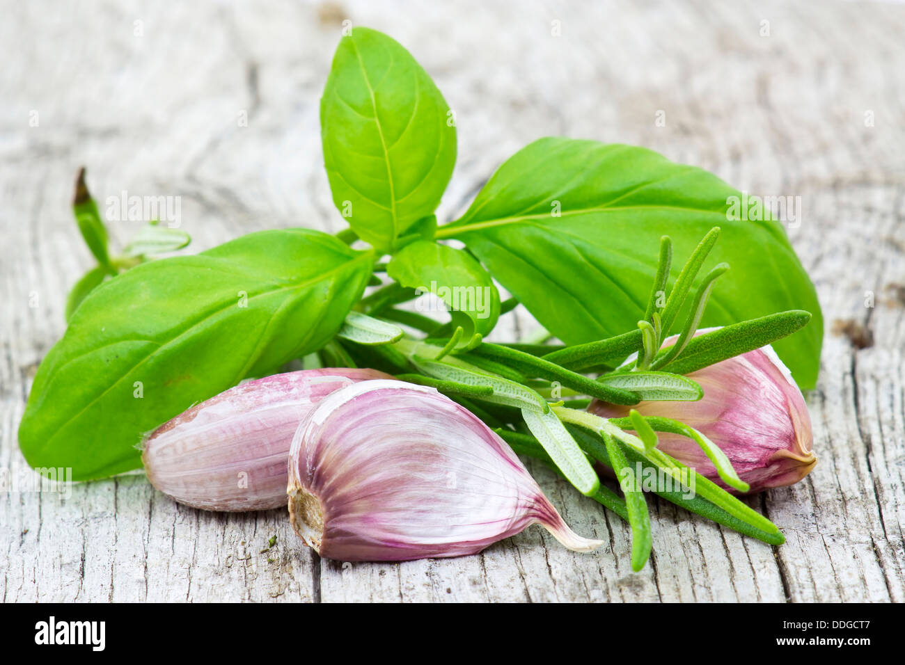 fresh garlic, rosemary and basil Stock Photo - Alamy