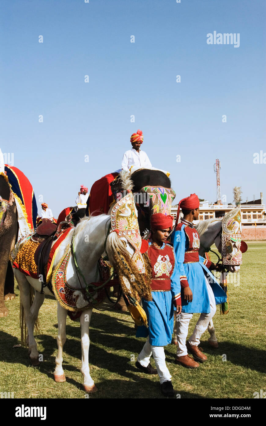 Royal procession during Elephant Festival, Jaipur, Rajasthan, India ...