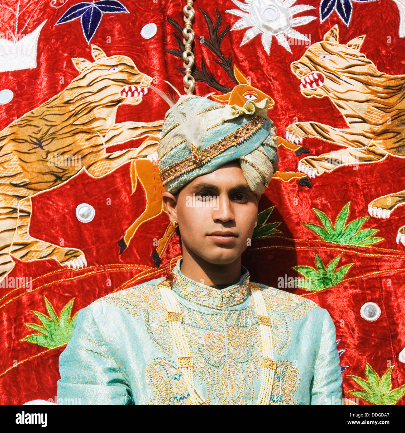 Indian Royal Dresses