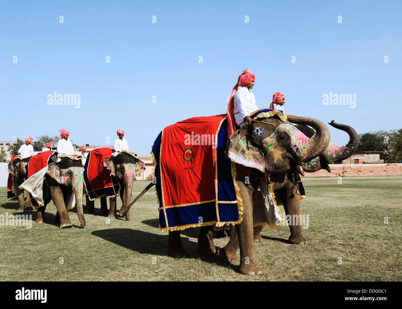 Royal elephant hi-res stock photography and images - Alamy